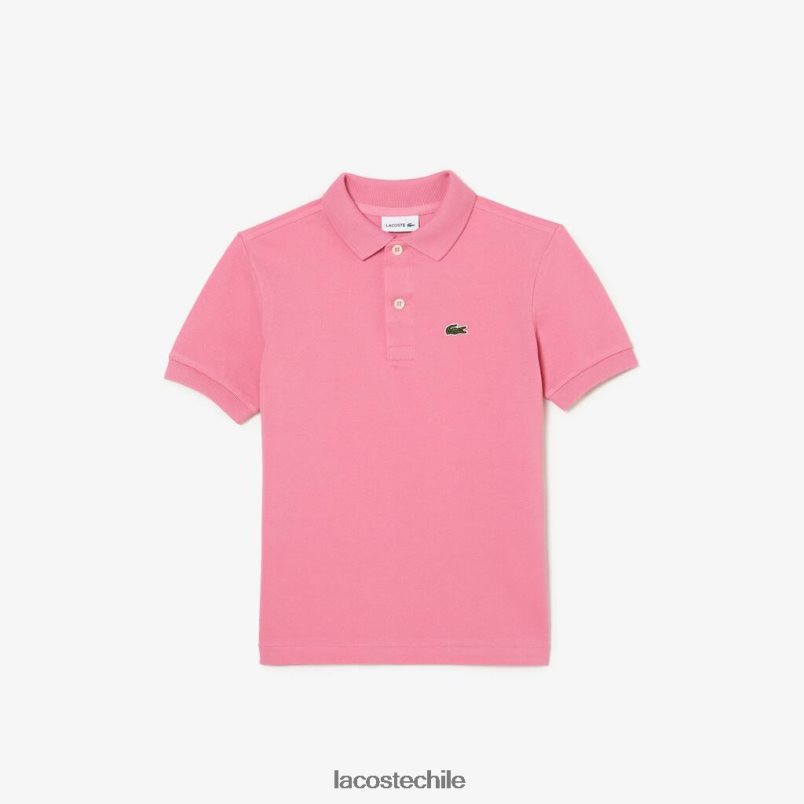 Lacoste Chile | Nueva colección